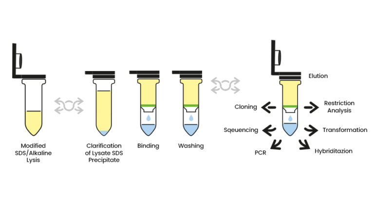 Danagene Plasmid Miniprep Kit Danagen