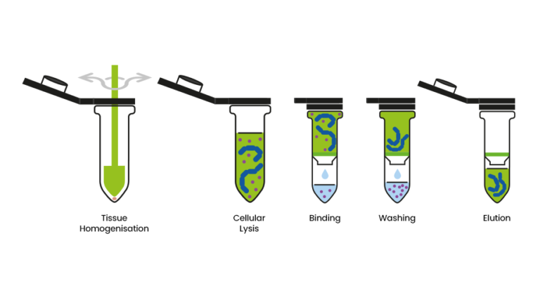 Danagene Plant Rna Kit Danagen